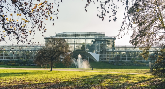 Visite du jardin botanique de Meise